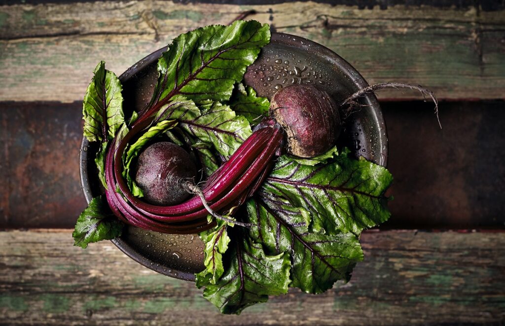 Yorkshire farm shop and cafe | Fodder farm shop, Yorkshire