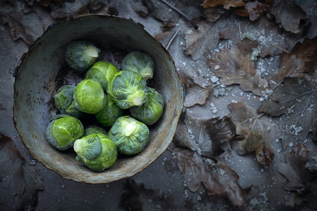 Yorkshire farm shop and cafe | Fodder farm shop, Yorkshire