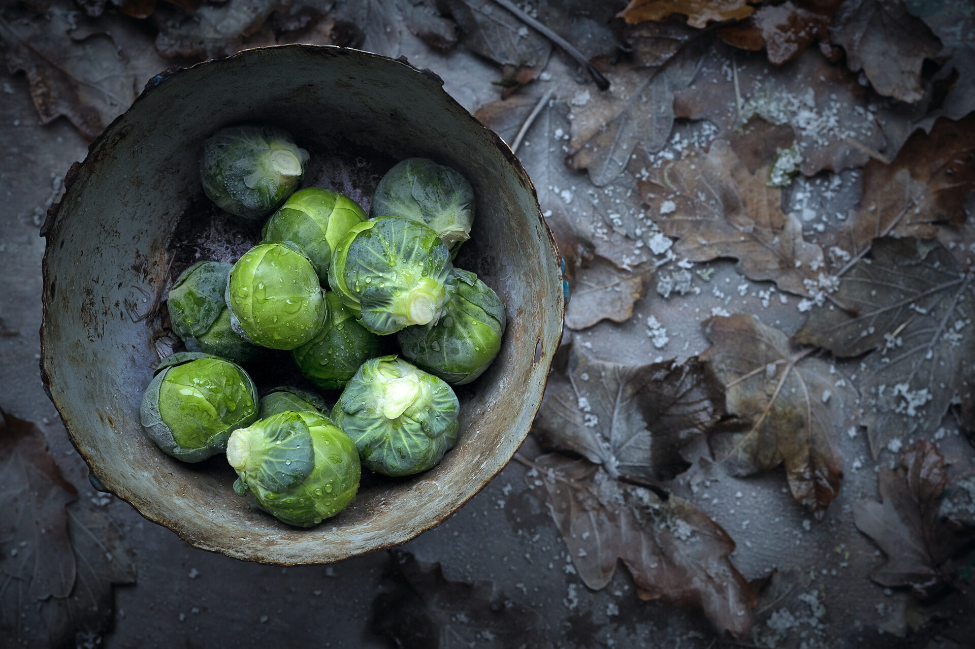 Yorkshire farm shop and cafe | Fodder farm shop, Yorkshire